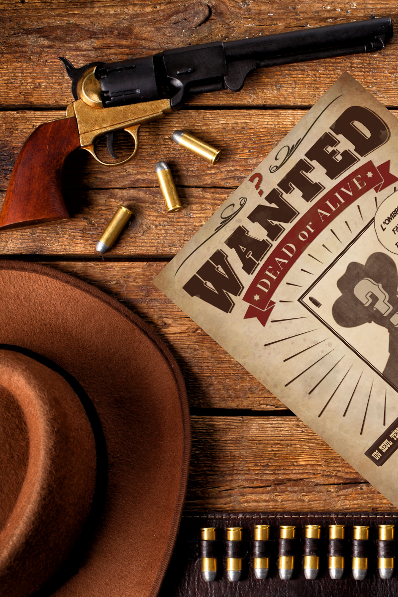 Wild Wild Quest - Get Out - Escape Game Escape Game